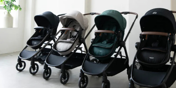 Zelia Luxe 5-in-1 Modular Travel System | Snuggle Bugz | Canada's Baby ...