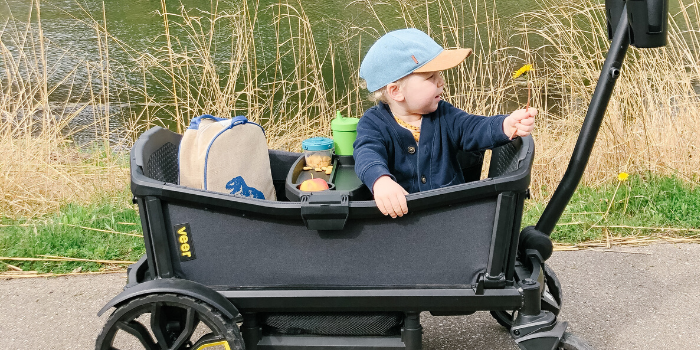 VEER All-Terrain Cruiser Wagon Review | Snuggle Bugz | Learning Centre