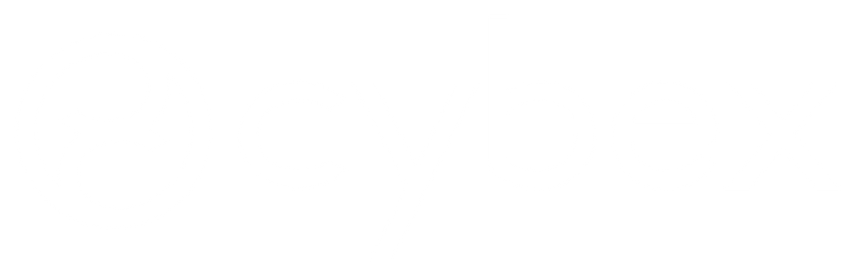 Cybex | Snuggle Bugz | Canada’s Baby Store