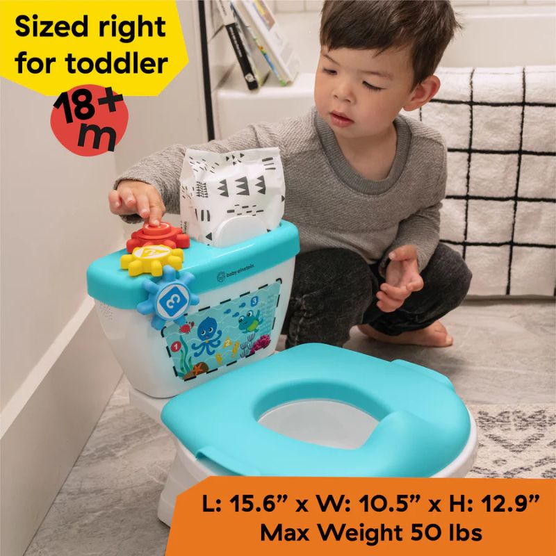 Geared for Success 2-in-1 Potty Training System – Snuggle Bugz