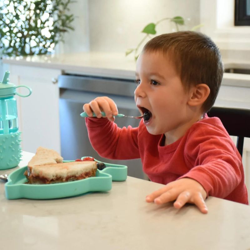 Divided Silicone Suction Plate | Snuggle Bugz | Canada's Baby Store