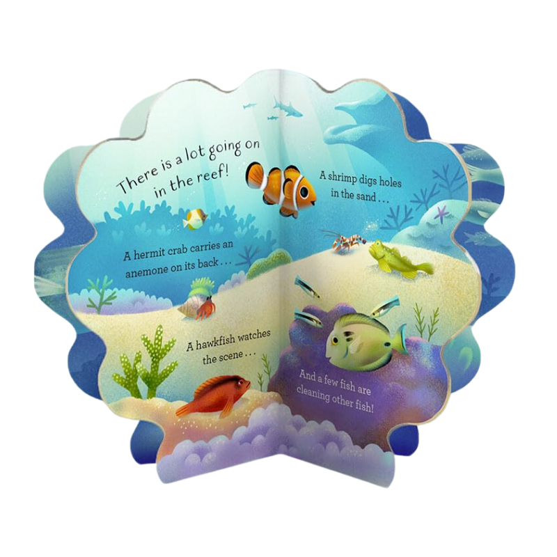 Hello Clownfish Board Book | Snuggle Bugz | Canada's Baby Store