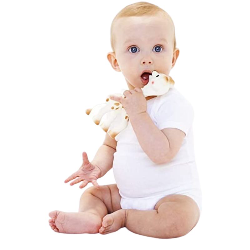 Birth Basket Gift Set | Snuggle Bugz | Canada's Baby Store